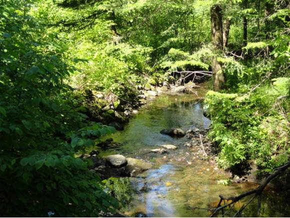 1108 Valley Rd Holland, Vermont - Sold in 2012