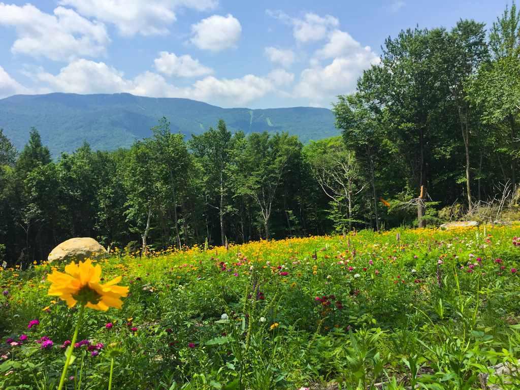 210 Mad River View Fayston, Vermont - Sold in 2019