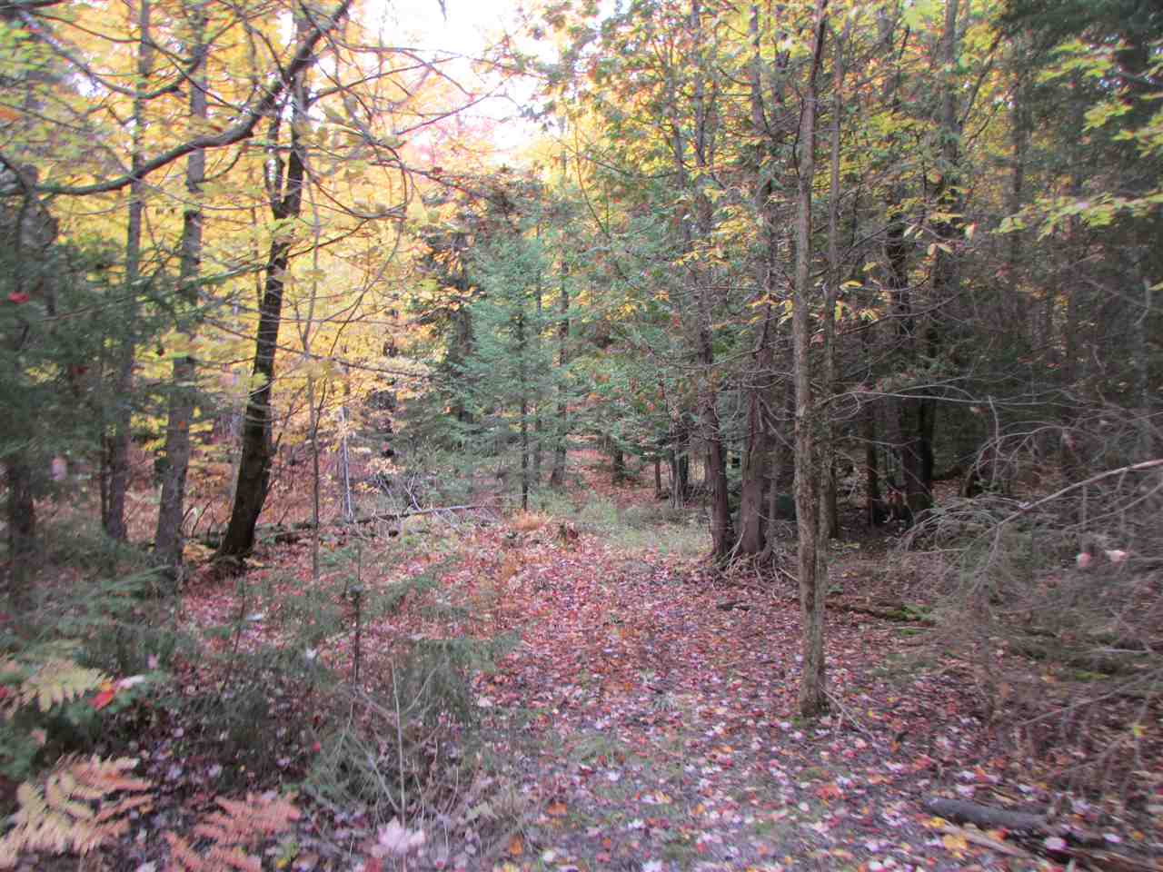 555 Bayley Hazen Road Greensboro, Vermont - Sold in 2019