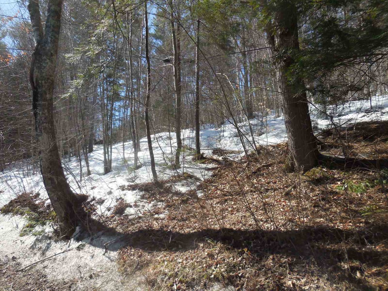 00 Nelson Pond Road Calais, Vermont - Sold in 2020
