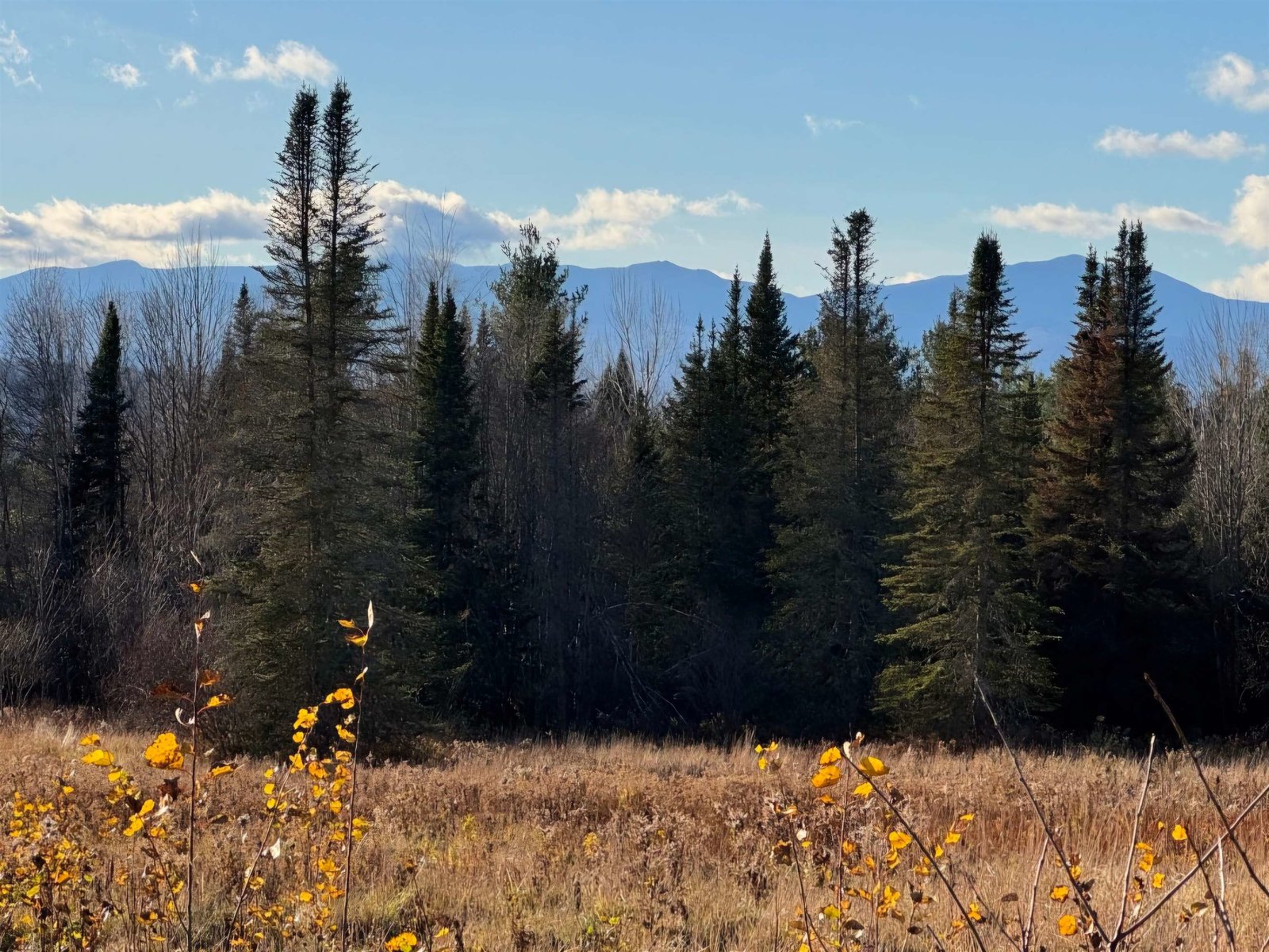 1201 Town Hill Road Wolcott, Vermont - Sold in 2025