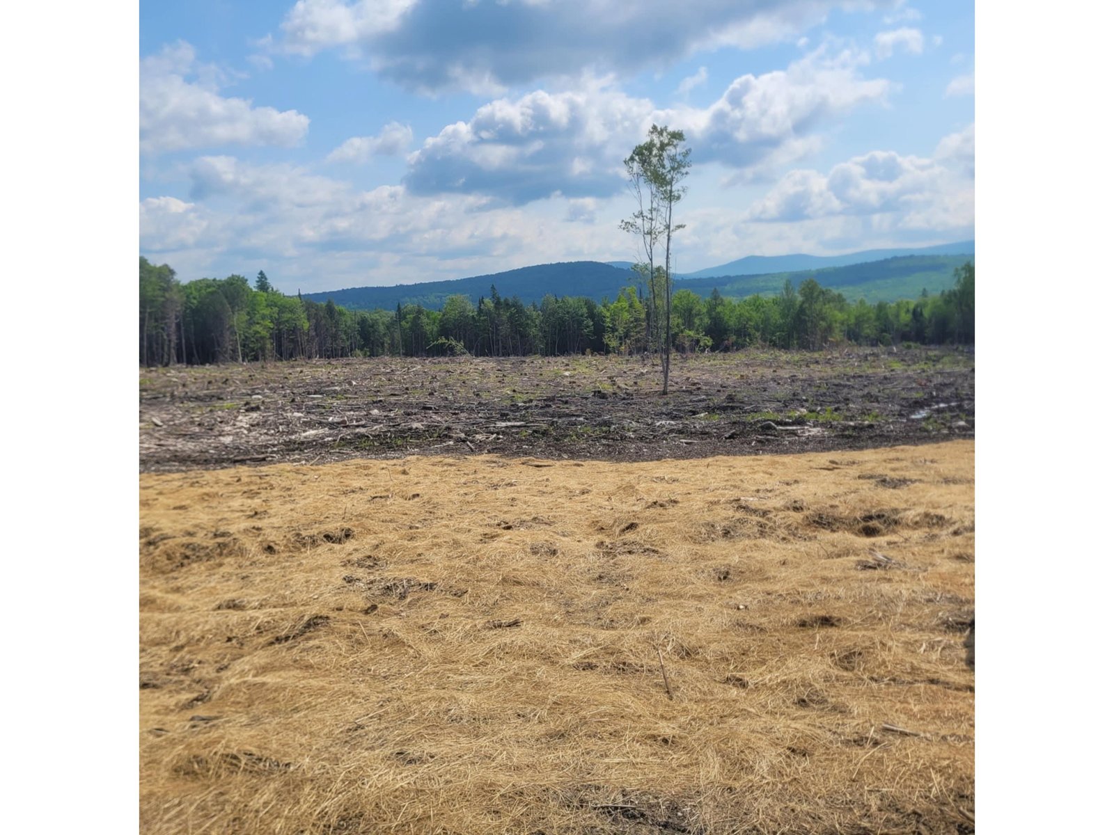 0 Kinney Hill Road Newark, Vermont - For Sale