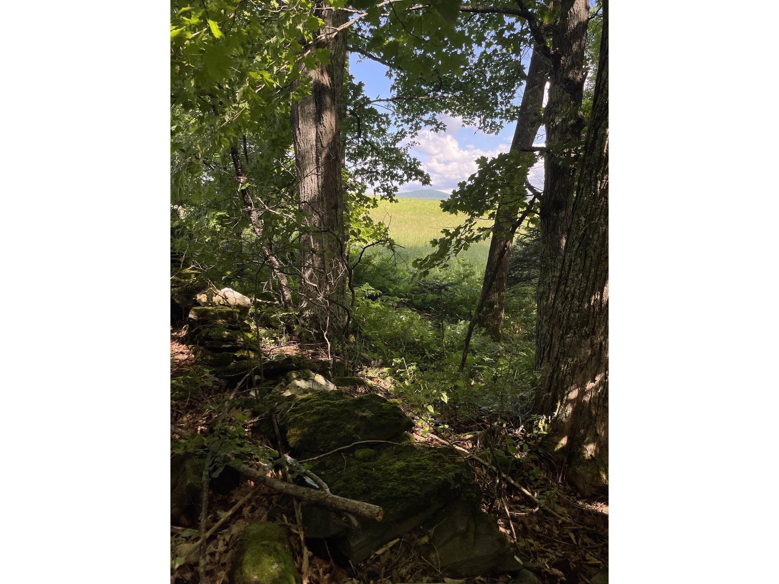 00 Ledge Hill Road Calais, Vermont - For Sale