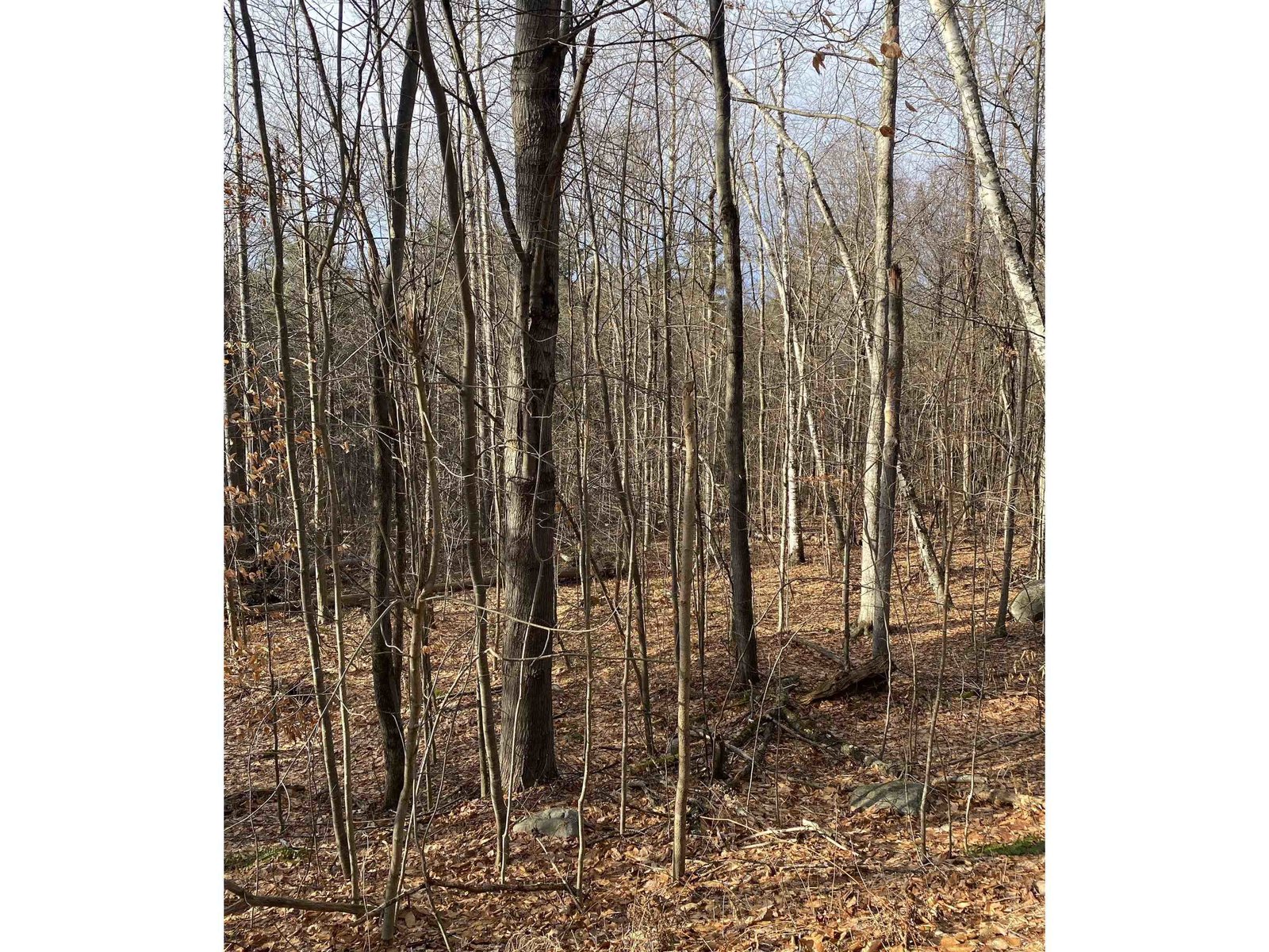 8 Fred Johnson Circle Middlebury, Vermont - For Sale