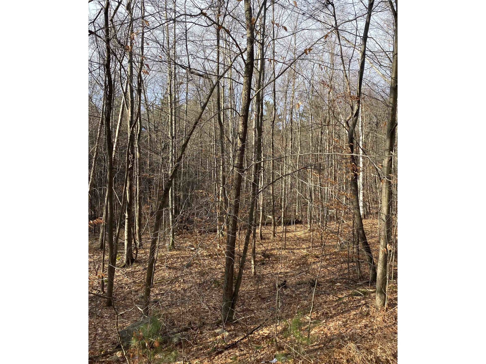 8 Fred Johnson Circle Middlebury, Vermont - For Sale