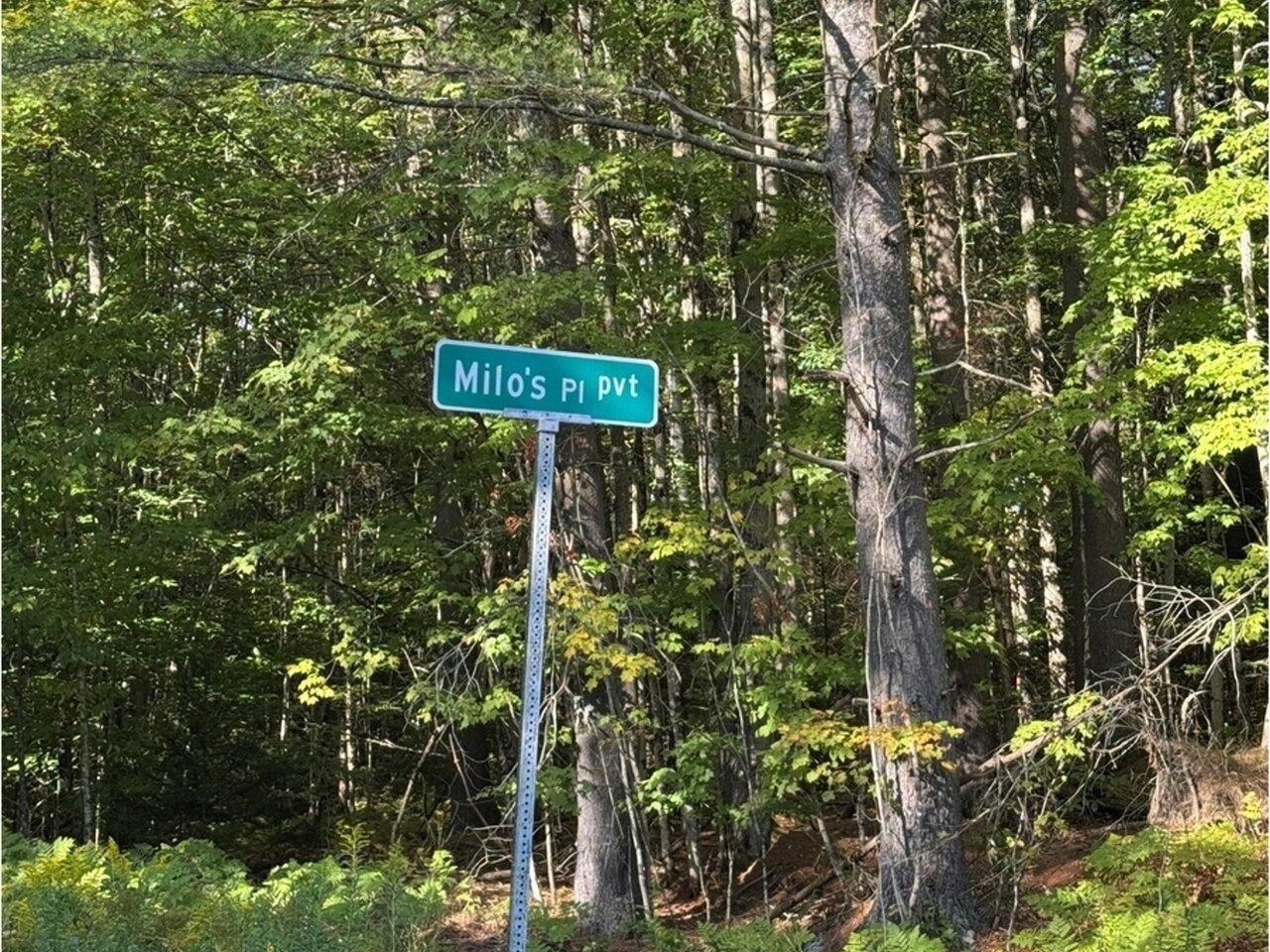 Washington County VT Real Estate & Homes for Sale